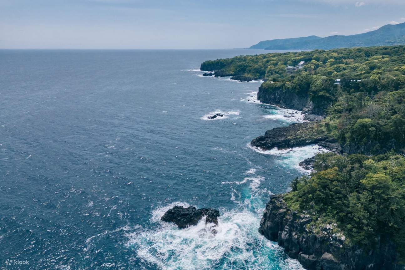 [Summer Limited] Atami Kinomiya Shrine, Izu Omuroyama, Cactus Zoo, and ...